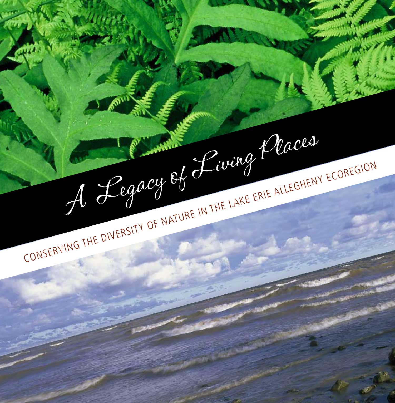 A Legacy of Living Places - LEAP for Biodiversity